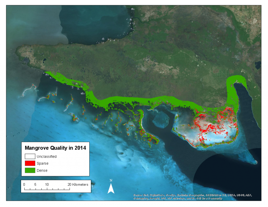 UA Researcher Studies Cuba's Coastal Forests in Anticipation of Tourism ...