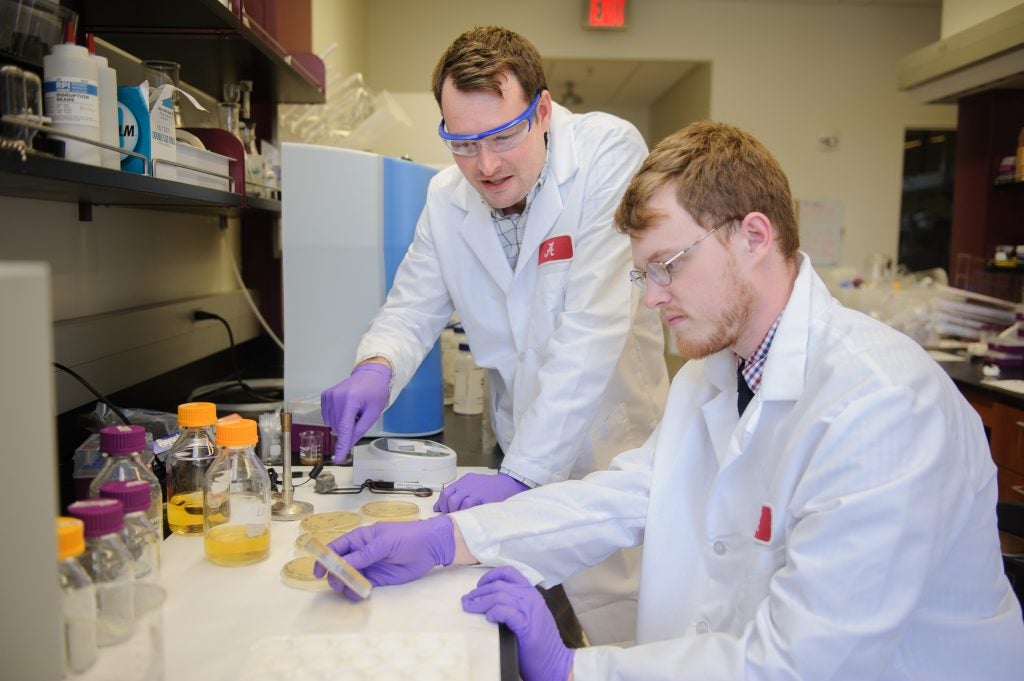UA Kick-Starts Six Projects Related to COVID-19 and Future Pandemics ...