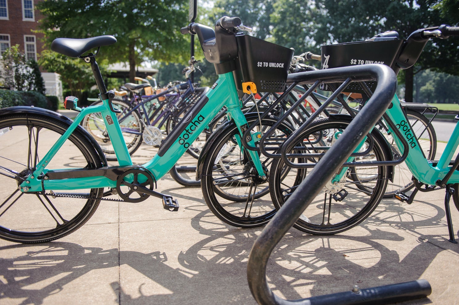 Get to Class or Work Quickly with New Gotcha E-Bikes on Campus ...