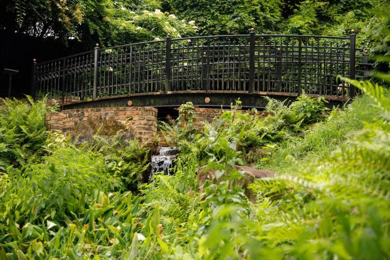 Picture Perfect: Top 10 Places on UA's Campus to Snap Photos ...