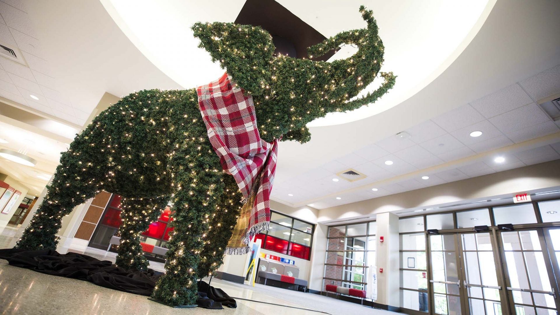 In Honor of Elephants: a Photo Tour of Our Campus Herd – University of ...