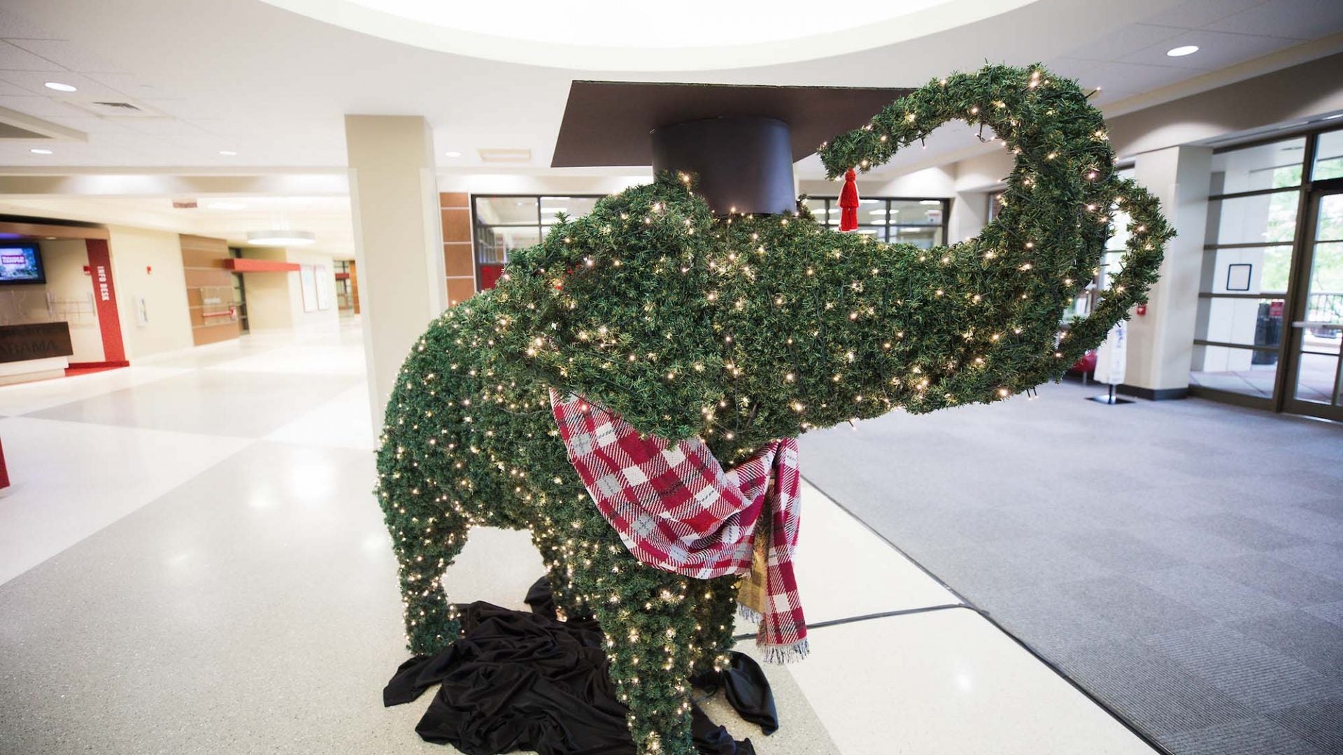 In Honor of Elephants: a Photo Tour of Our Campus Herd – University of ...