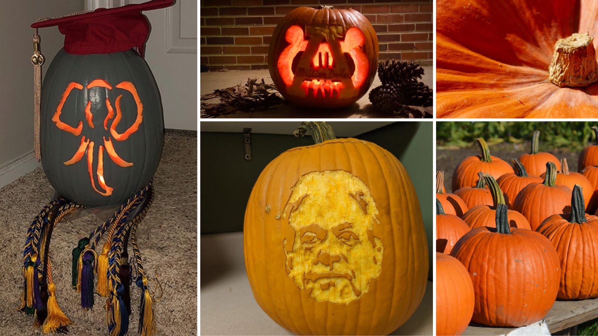 Crimson Carving Contest Part V University Of Alabama News