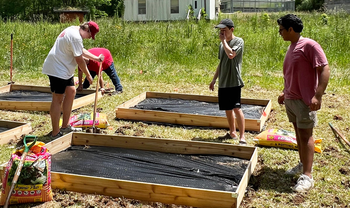 SGA Partners with Arboretum to Grow Vegetables for Food Pantry ...