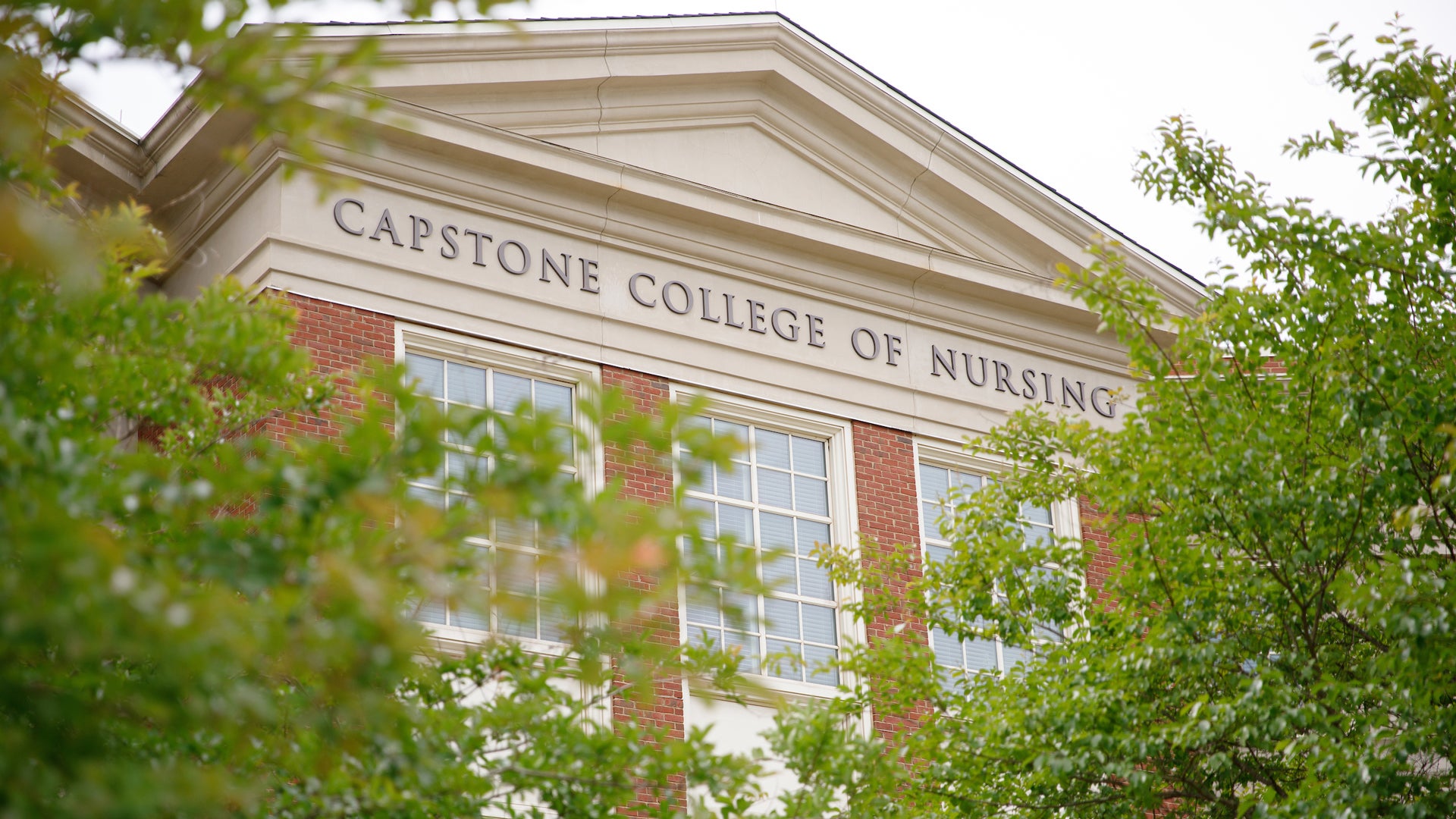 UA Names Sanford Dean of Capstone College of Nursing - University of ...