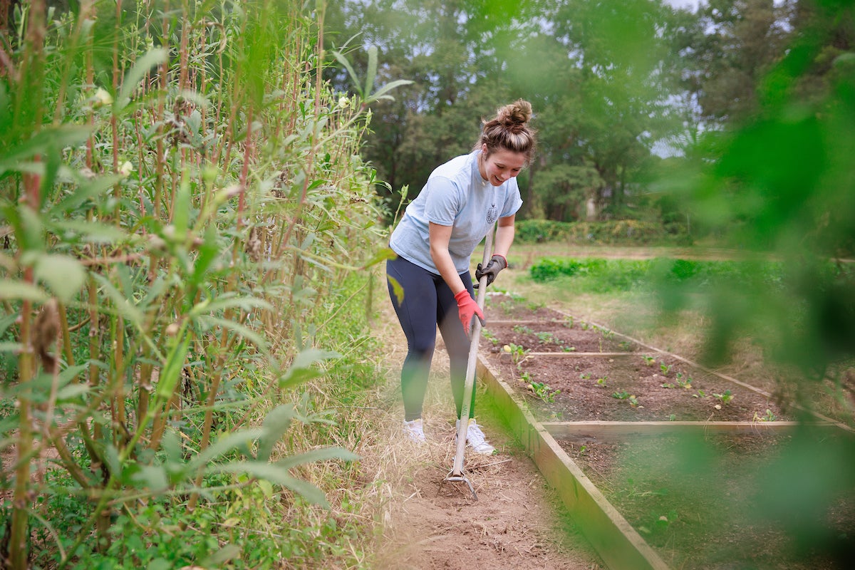 Stay Cool: Summer Heat Safety Tips - University of Alabama News