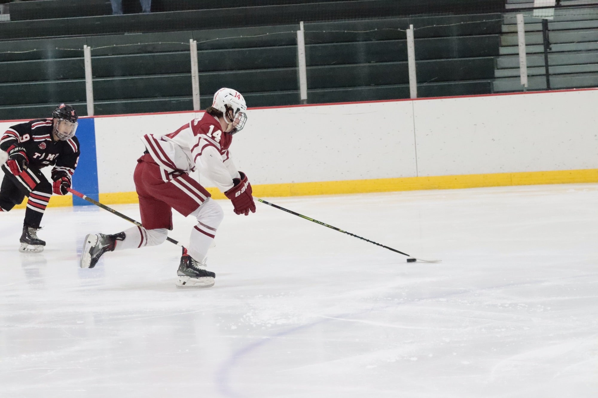 University of Alabama Hockey Teams Head to Nationals - University of ...