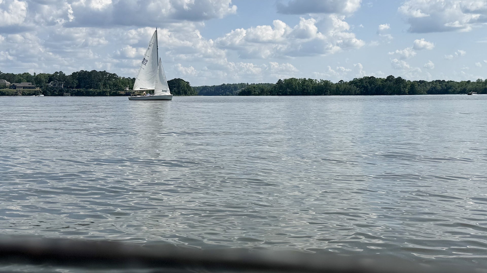 UA Sailing Club: Navigating New Waters and Building Community ...